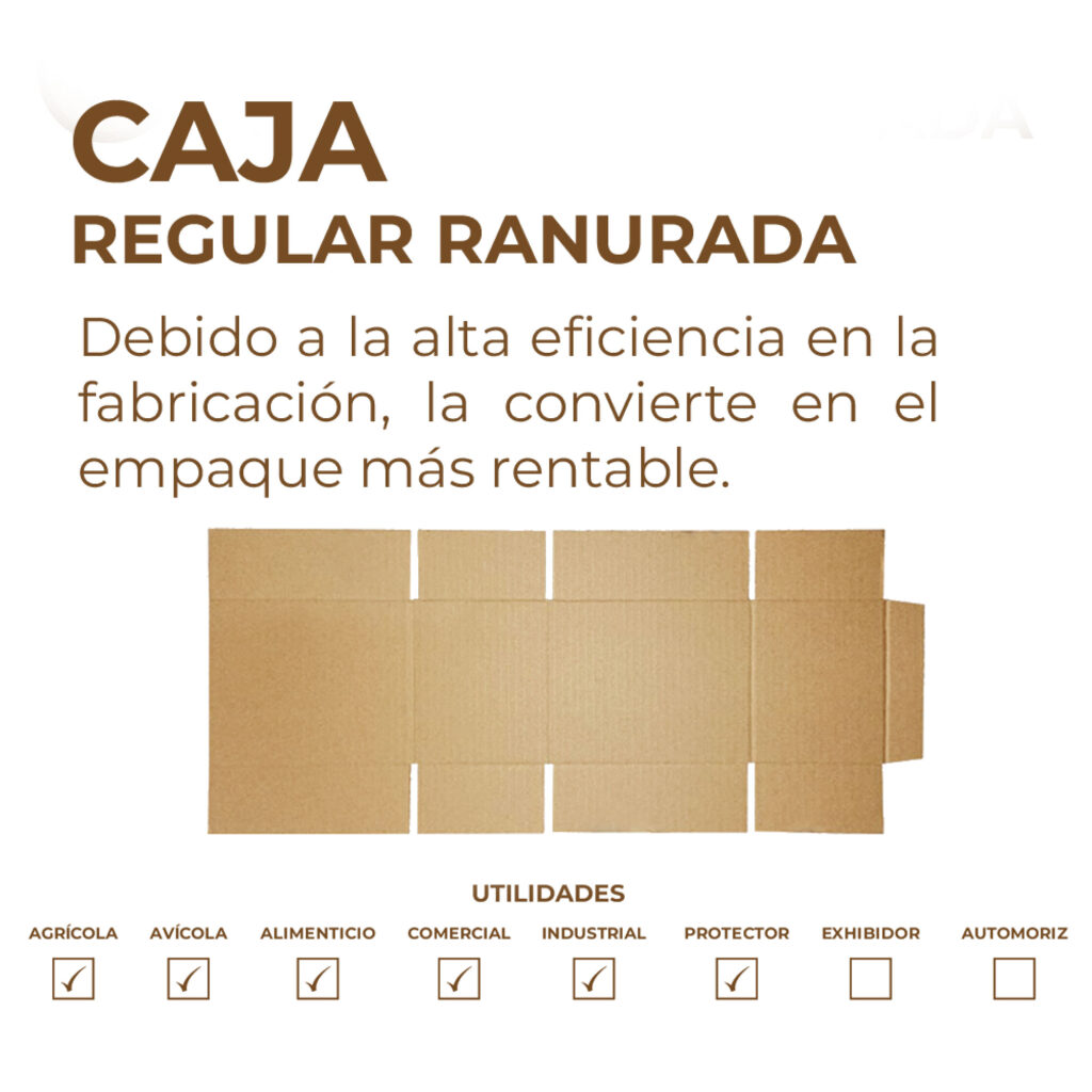 Caja regular ranurada – KJAS TEPSA